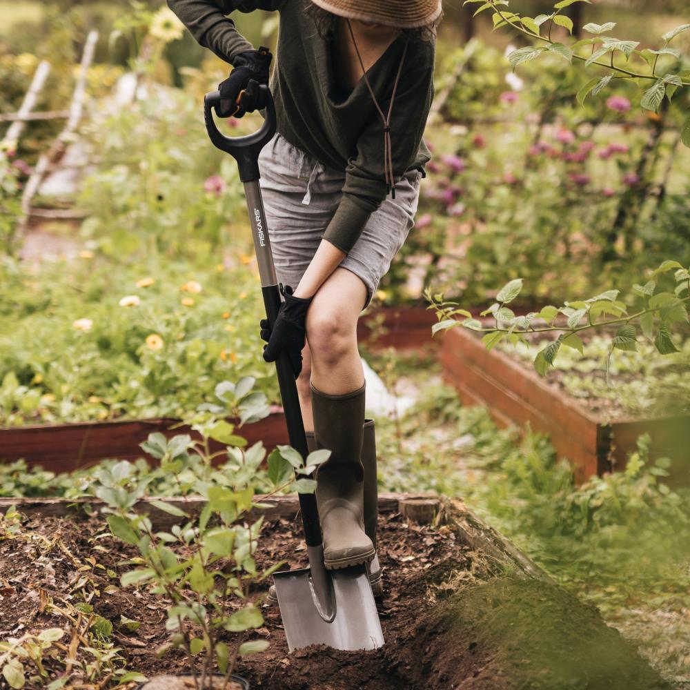 Begynderguide til nyttehaven