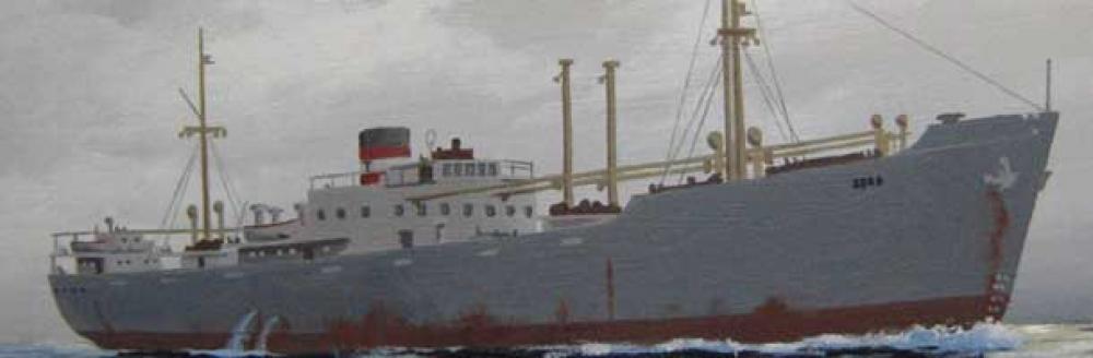 Udstilling af 140 skibsbilleder i Rønne