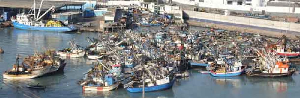 APM Terminals aids fishing industry