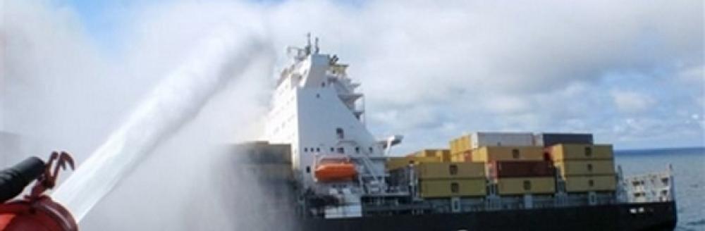 Skibsreder raser over havneforbud