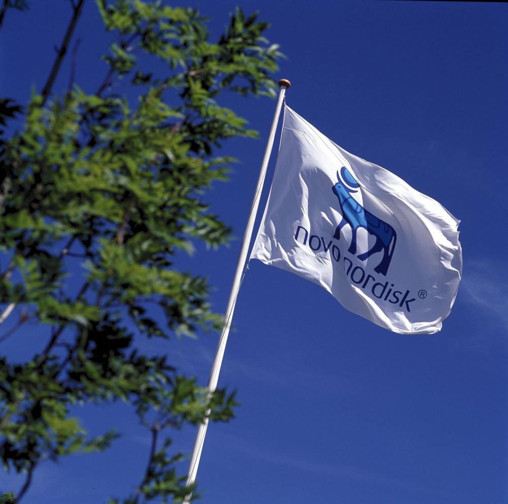 Med træer og solceller skal Novo Nordisk flytte grønt ind i Odense Med træer og solceller skal Novo Nordisk flytte grønt ind i Odense