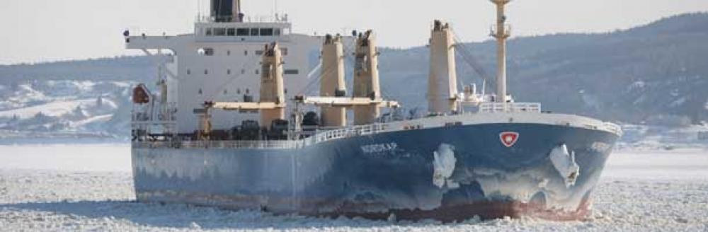 Norden Ice venture with Glencore