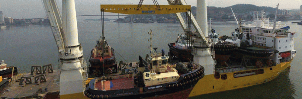 Damen transporterer 22 skibe fra Asien