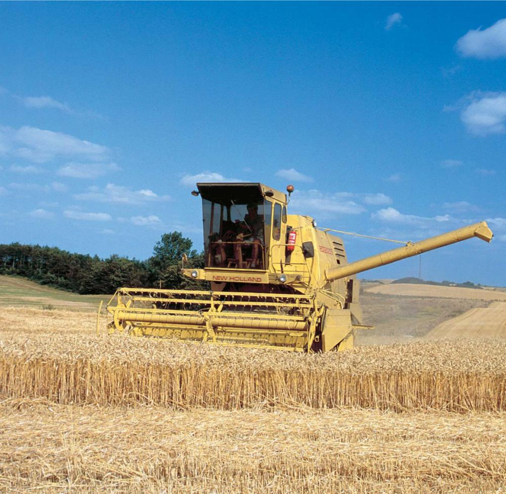 Vi er de bedste til halm