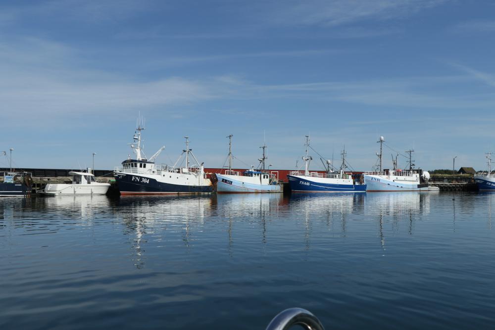 Oliespild efter påsejling på Læsø