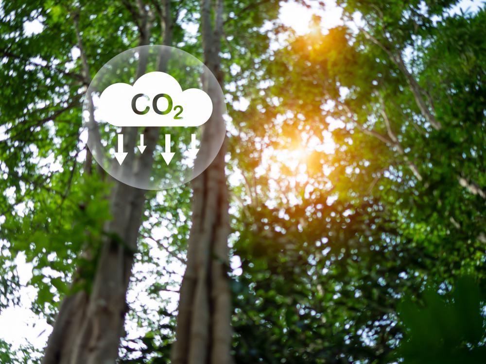 Tryg leverer markant CO2-reduktion i 2025