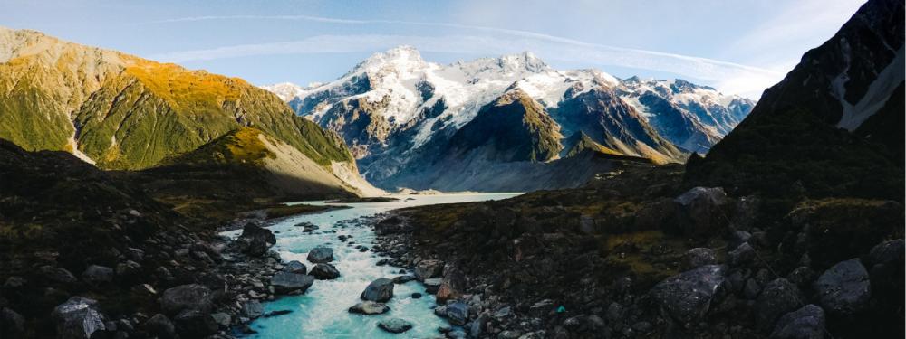 1.5°C Targets: The Business Case for a Climate Transition Plan