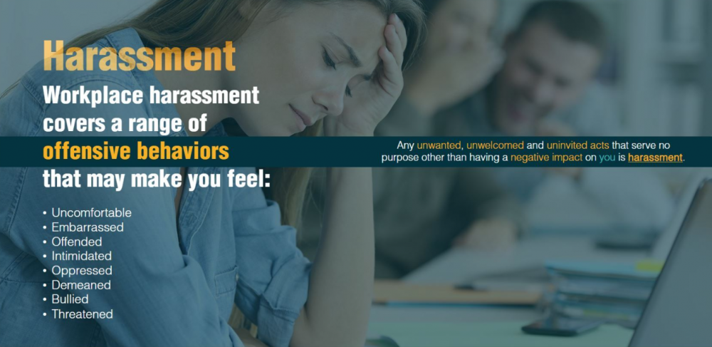 Workplace Harassment and Respect Awareness (E-learning course - afholdes løbende)