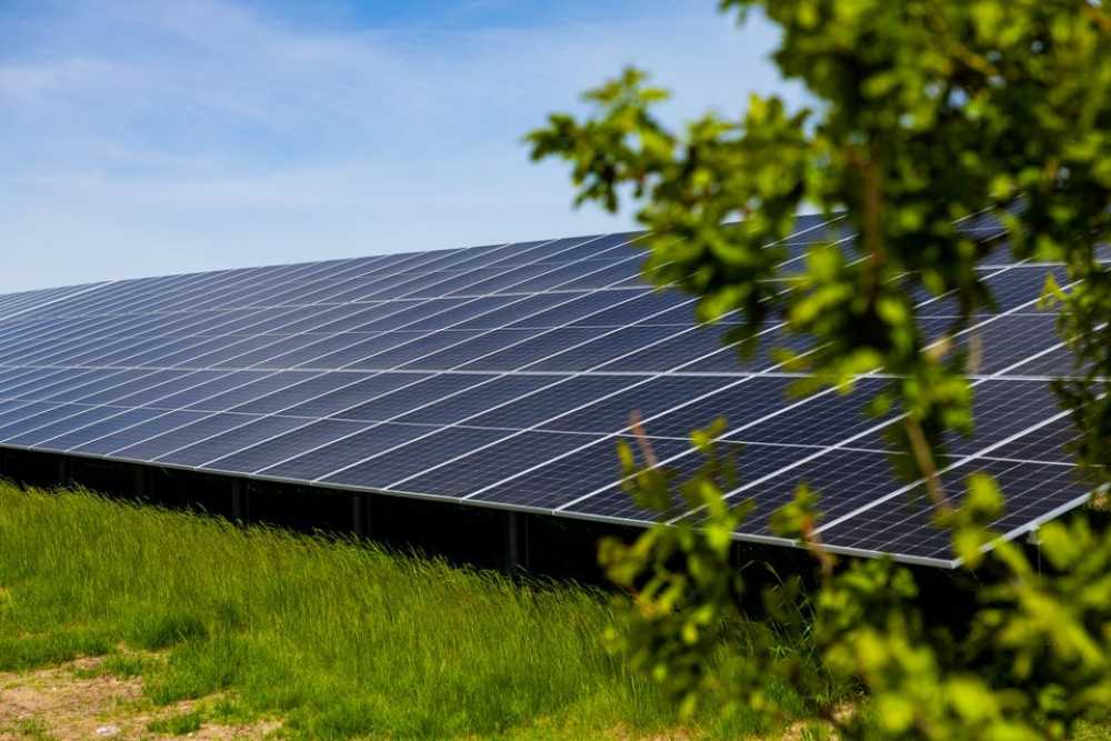 Østjyllands største solcellepark indvies i dag