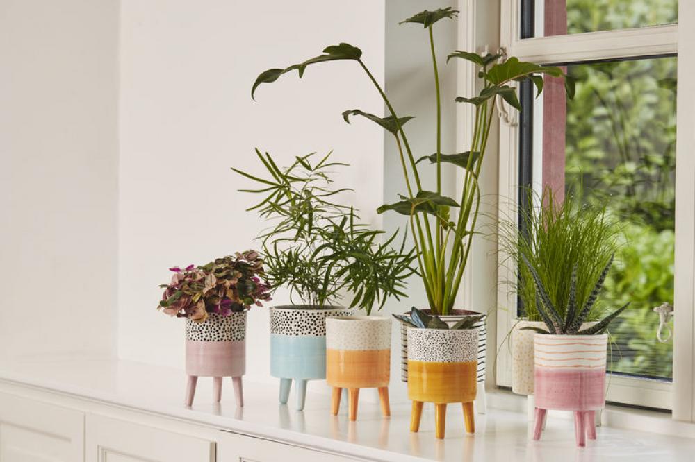 Flower Pots with an Attitude