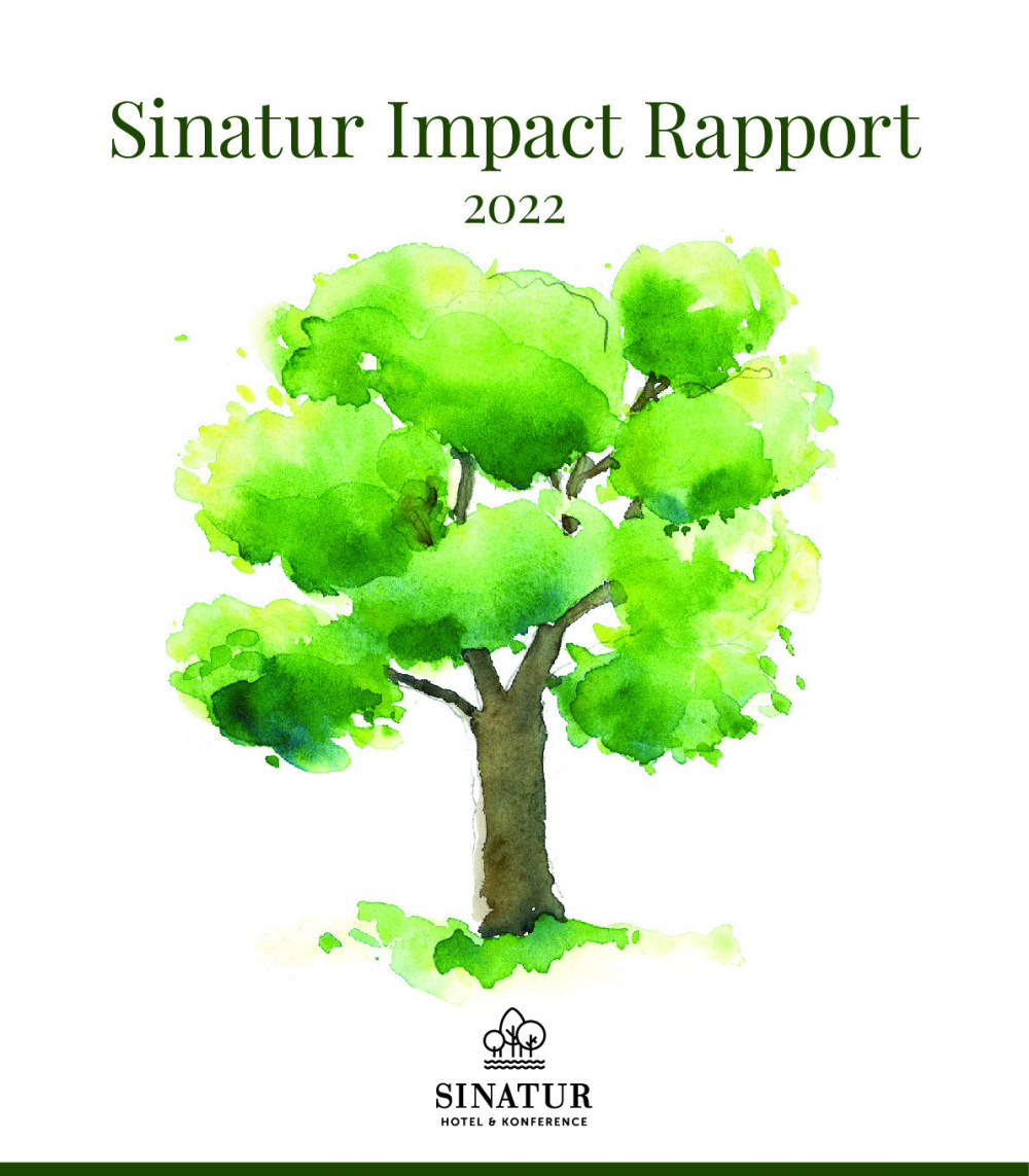 Sinaturs Impact Rapport
