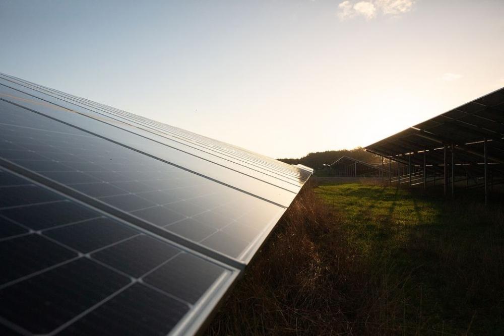 Arla når milepæl: Alle europæiske mejerier dækkes nu 100 procent af ...