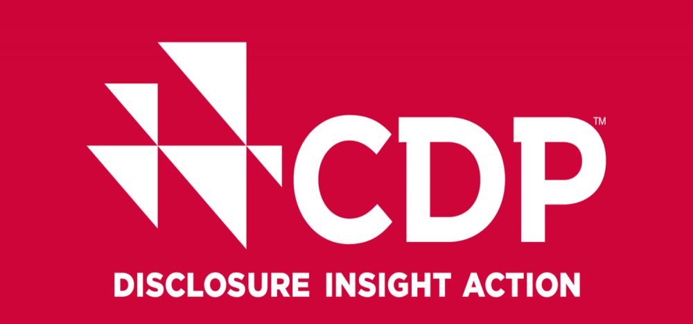 Brambles awarded CDP double ‘A’ score for transparency and action on ...