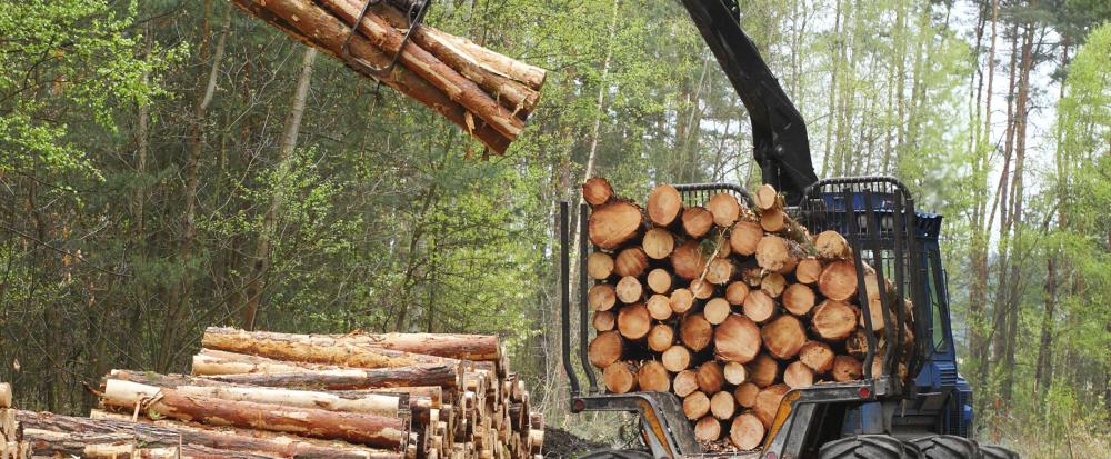 Ikea-datterselskab mister FSC-certificering