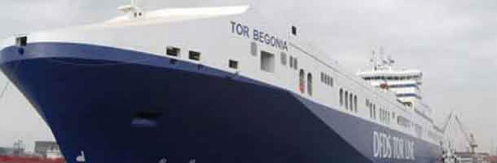 Tor Begonia forlænget med 30 meter