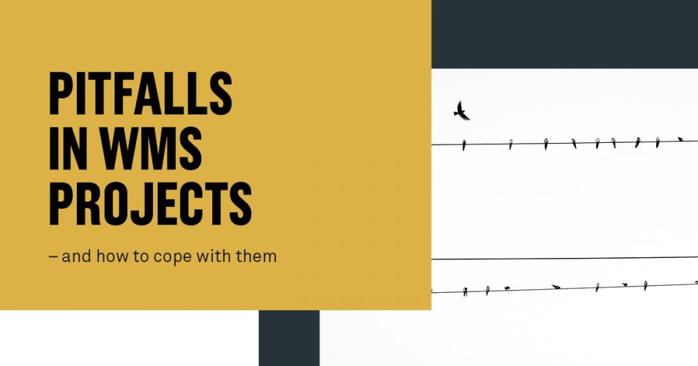 8 PITFALLS IN WAREHOUSE MANAGEMENT SYSTEM PROJECTS 8 PITFALLS IN WAREHOUSE MANAGEMENT SYSTEM PROJECTS