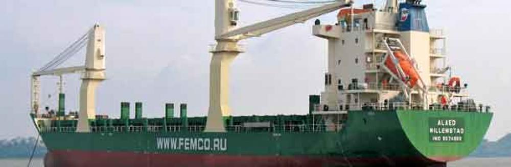 Dansk rederi afviser våbentransport