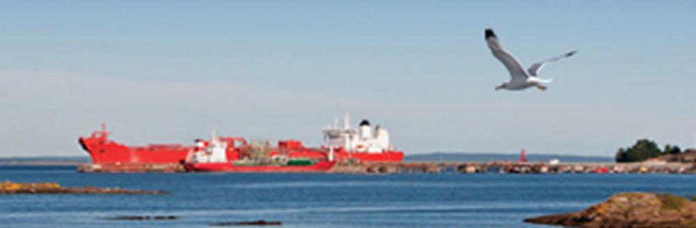 Seagull launches online version of APRO